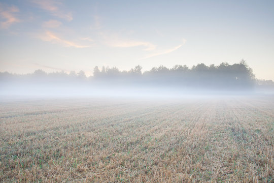 "Stubble Field" Images – Browse 2,538 Stock Photos, Vectors, and Video ...