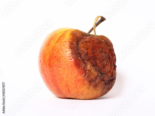 "Fauler Apfel" Stockfotos und lizenzfreie Bilder auf Fotolia.com - Bild ...