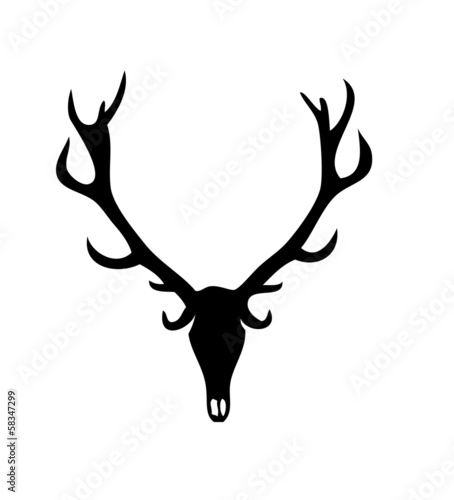 "Hirschgeweih" Stockfotos und lizenzfreie Vektoren auf Fotolia.com ...