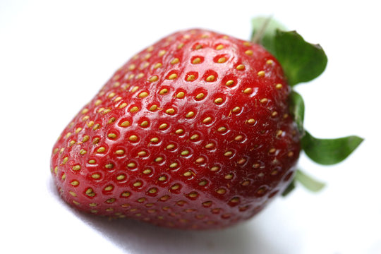 Fragola 이미지 – 찾아보기 17,217 스톡 사진, 벡터 및 비디오 | Adobe Stock