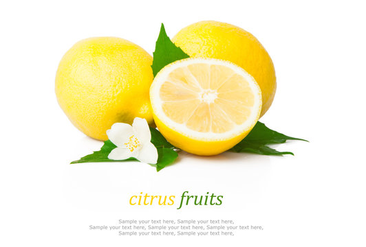 tinnko 写真、画像、アセット | Adobe Stock