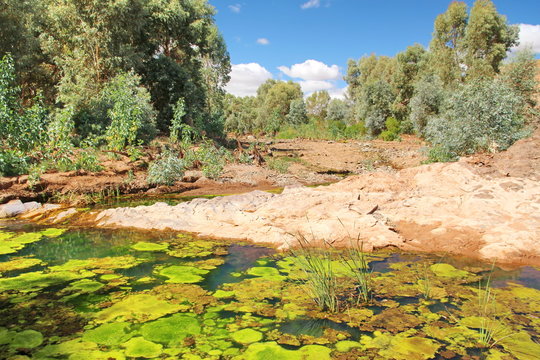 รูปภาพBillabong – เลือกดูภาพถ่ายสต็อก เวกเตอร์ และวิดีโอ3,151 | Adobe Stock