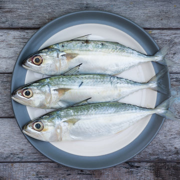 Indian Mackerel Bilder – Durchsuchen 2,799 Archivfotos, Vektorgrafiken ...