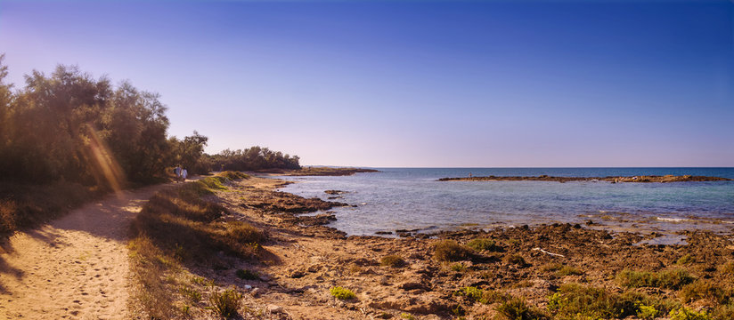 Microfillia bilder – Bläddra bland 5 stockfoton, vektorer och videor ...