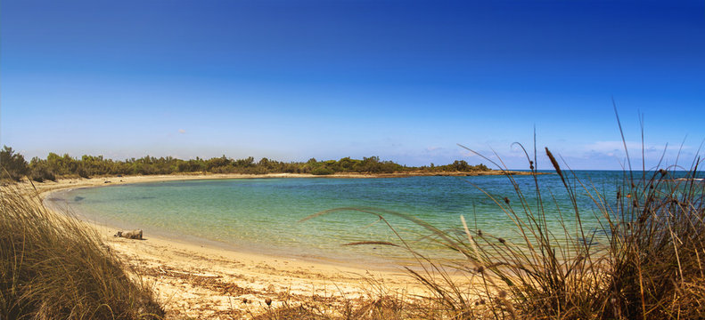 Microfillia-Bilder: Stock-Fotos & -Videos. | Adobe Stock