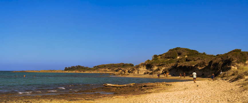 Microfillia bilder – Bläddra bland 5 stockfoton, vektorer och videor ...