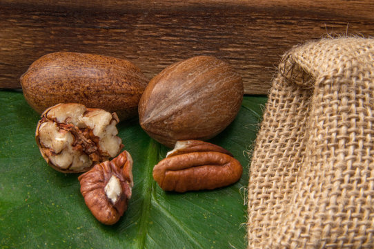 รูปภาพPacane – เลือกดูภาพถ่ายสต็อก เวกเตอร์ และวิดีโอ292 | Adobe Stock