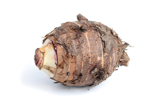 "Taro Corm" Bilder – Durchsuchen 213 Archivfotos, Vektorgrafiken und ...