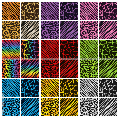 "Animal Print Collection" Stock image and royalty-free vector files on ...