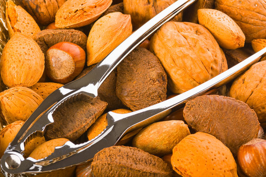 Nusssorten Bilder – Durchsuchen 1,468 Archivfotos, Vektorgrafiken und ...