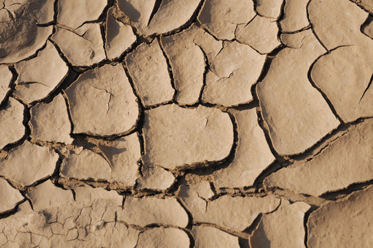 รูปภาพParched – เลือกดูภาพถ่ายสต็อก เวกเตอร์ และวิดีโอ16,741 | Adobe Stock