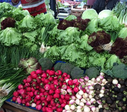 Turp 画像 - 参照 384 Stock 写真、ベクターおよびビデオ | Adobe Stock