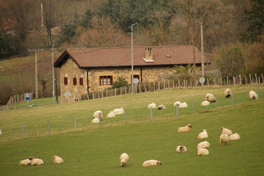 Baserri bilder – Bläddra bland 1,994 stockfoton, vektorer och videor ...