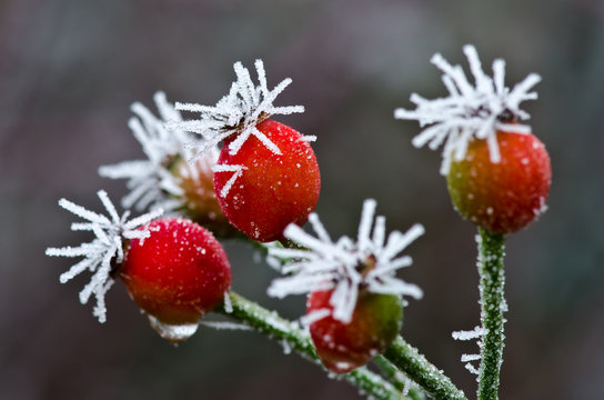 「Hiffen」の画像 - 318 件の Stock 写真、ベクターおよびビデオ | Adobe Stock