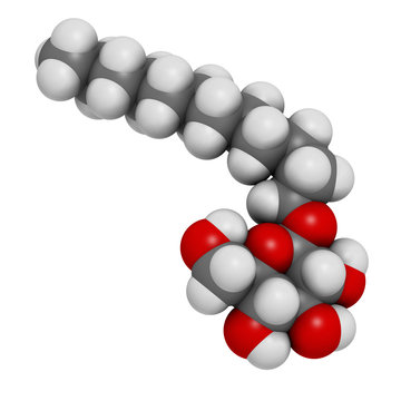 Amphiphil Images – Browse 37 Stock Photos, Vectors, and Video | Adobe Stock