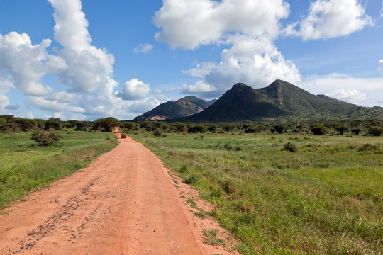 The Bush Kenya Africa Landscape