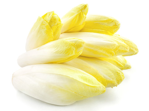 Chicoree 이미지 – 찾아보기 1,003 스톡 사진, 벡터 및 비디오 | Adobe Stock