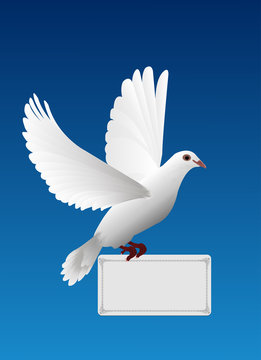 Brieftaube Clipart Of Children