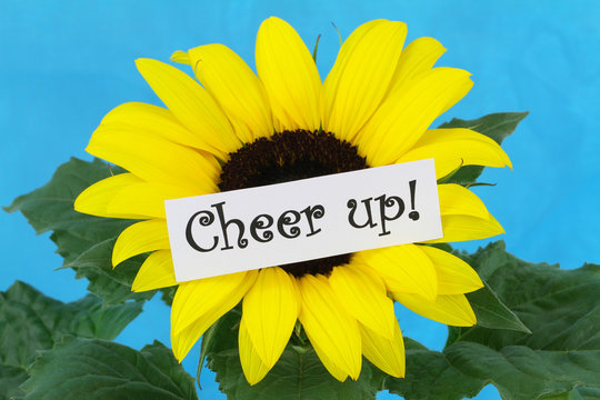 "Cheer Up" Images – Browse 27,627 Stock Photos, Vectors, and Video ...