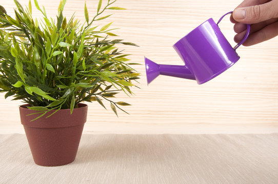 Regadera Images – Browse 506 Stock Photos, Vectors, and Video | Adobe Stock