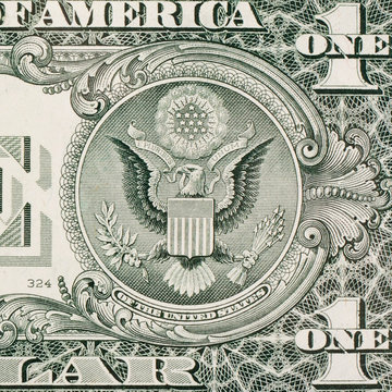 Dollar Bill Eagle Banner