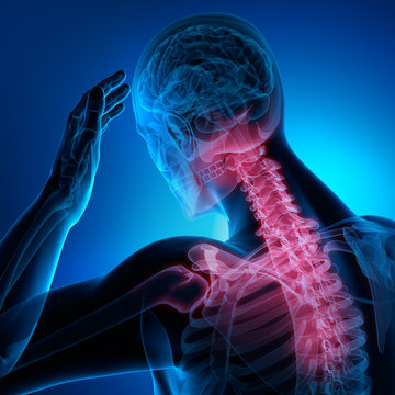 Prolaps Images – Browse 42 Stock Photos, Vectors, and Video | Adobe Stock