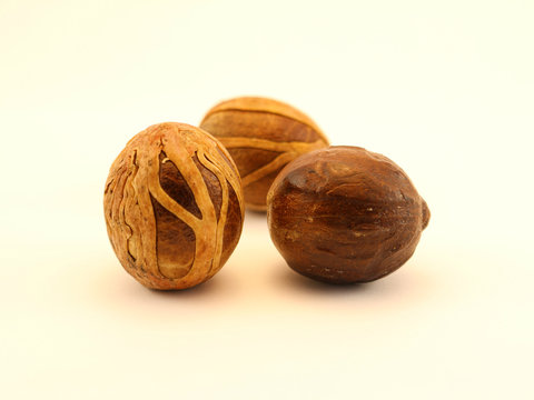 Muscade 画像 - 参照 688 Stock 写真、ベクターおよびビデオ | Adobe Stock