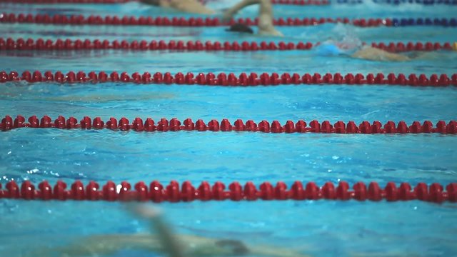 รูปภาพBackstroke – เลือกดูภาพถ่ายสต็อก เวกเตอร์ และวิดีโอ15,589 | Adobe ...