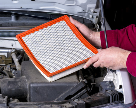 Fileter Images – Browse 14 Stock Photos, Vectors, and Video | Adobe Stock