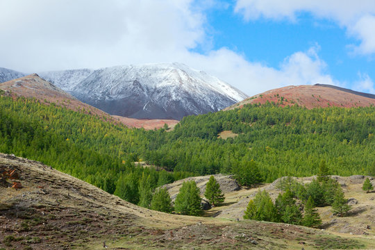 รูปภาพTajga – เลือกดูภาพถ่ายสต็อก เวกเตอร์ และวิดีโอ964 | Adobe Stock