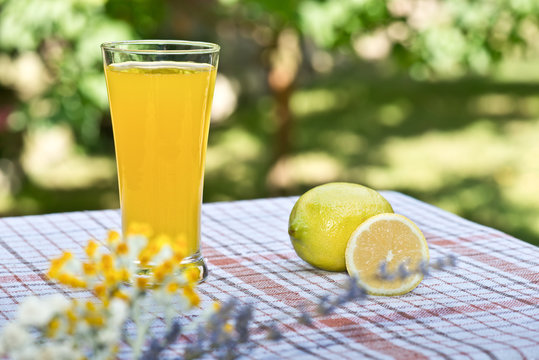 รูปภาพSqush – เลือกดูภาพถ่ายสต็อก เวกเตอร์ และวิดีโอ73 | Adobe Stock