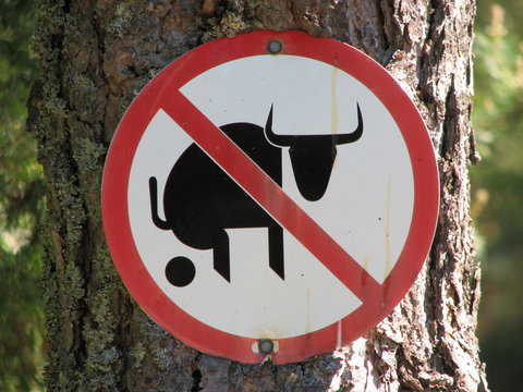 "Cow Shit" Images – Browse 1,838,132 Stock Photos, Vectors, and Video ...