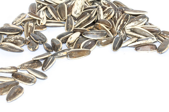 รูปภาพSunflower-Seed – เลือกดูภาพถ่ายสต็อก เวกเตอร์ และวิดีโอ1,518 ...