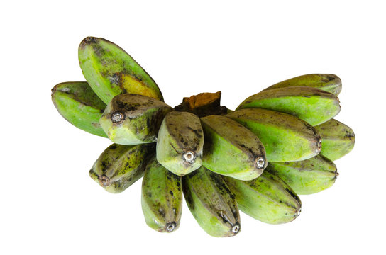 "Saba Banana" Images – Browse 287 Stock Photos, Vectors, and Video ...