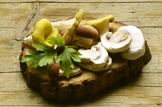 Finferlo Images – Browse 120 Stock Photos, Vectors, and Video | Adobe Stock