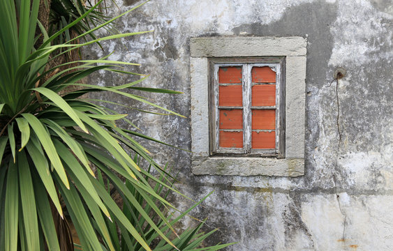 Tapiado Images – Browse 47 Stock Photos, Vectors, and Video | Adobe Stock