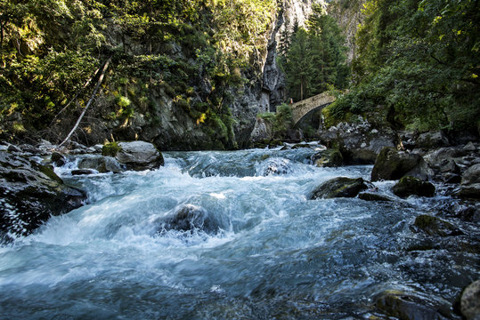 Imágenes de Torrente: descubre bancos de fotos, ilustraciones, vectores ...