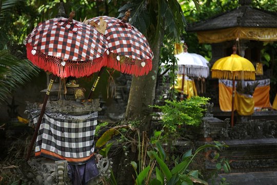 「Tupa」の写真素材 | 94件の無料イラスト画像 | Adobe Stock