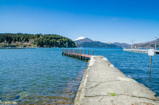 Ashino Images – Browse 38 Stock Photos, Vectors, and Video | Adobe Stock