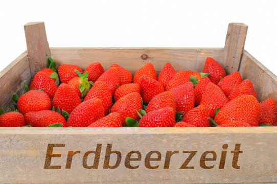 Erdbeerzeit Bilder – Durchsuchen 1,927 Archivfotos, Vektorgrafiken und ...