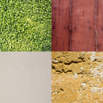 "Pelle Ruvida" Bilder – Durchsuchen 48 Archivfotos, Vektorgrafiken und ...