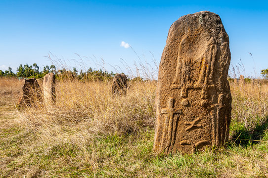 91 BEST Tiya IMAGES, STOCK PHOTOS & VECTORS | Adobe Stock