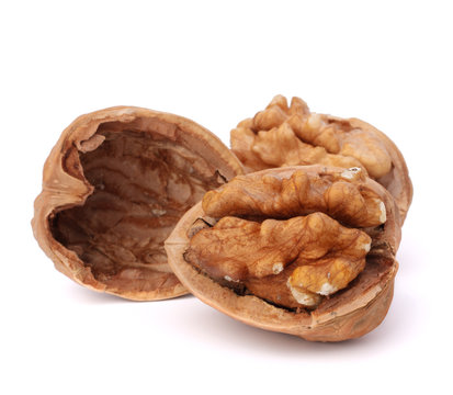 Walnut Images – Browse 570,742 Stock Photos, Vectors, and Video | Adobe ...