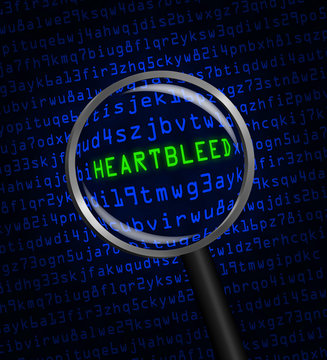 Heartbleed 이미지 – 찾아보기 180 스톡 사진, 벡터 및 비디오 | Adobe Stock