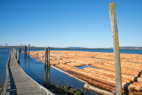 "Log Boom" Images – Browse 1,030 Stock Photos, Vectors, and Video ...