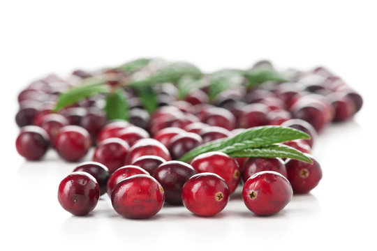 รูปภาพMoosbeeren – เลือกดูภาพถ่ายสต็อก เวกเตอร์ และวิดีโอ582 | Adobe Stock