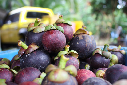 รูปภาพMangostane – เลือกดูภาพถ่ายสต็อก เวกเตอร์ และวิดีโอ256 | Adobe Stock