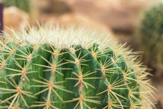 รูปภาพHildm – เลือกดูภาพถ่ายสต็อก เวกเตอร์ และวิดีโอ139 | Adobe Stock