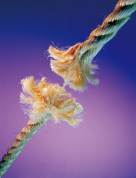 รูปภาพPackthread – เลือกดูภาพถ่ายสต็อก เวกเตอร์ และวิดีโอ3,100 | Adobe ...