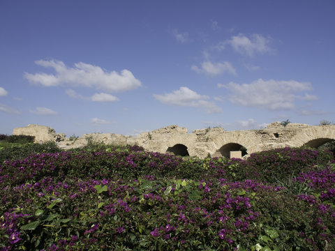 รูปภาพAquadukt – เลือกดูภาพถ่ายสต็อก เวกเตอร์ และวิดีโอ105 | Adobe Stock